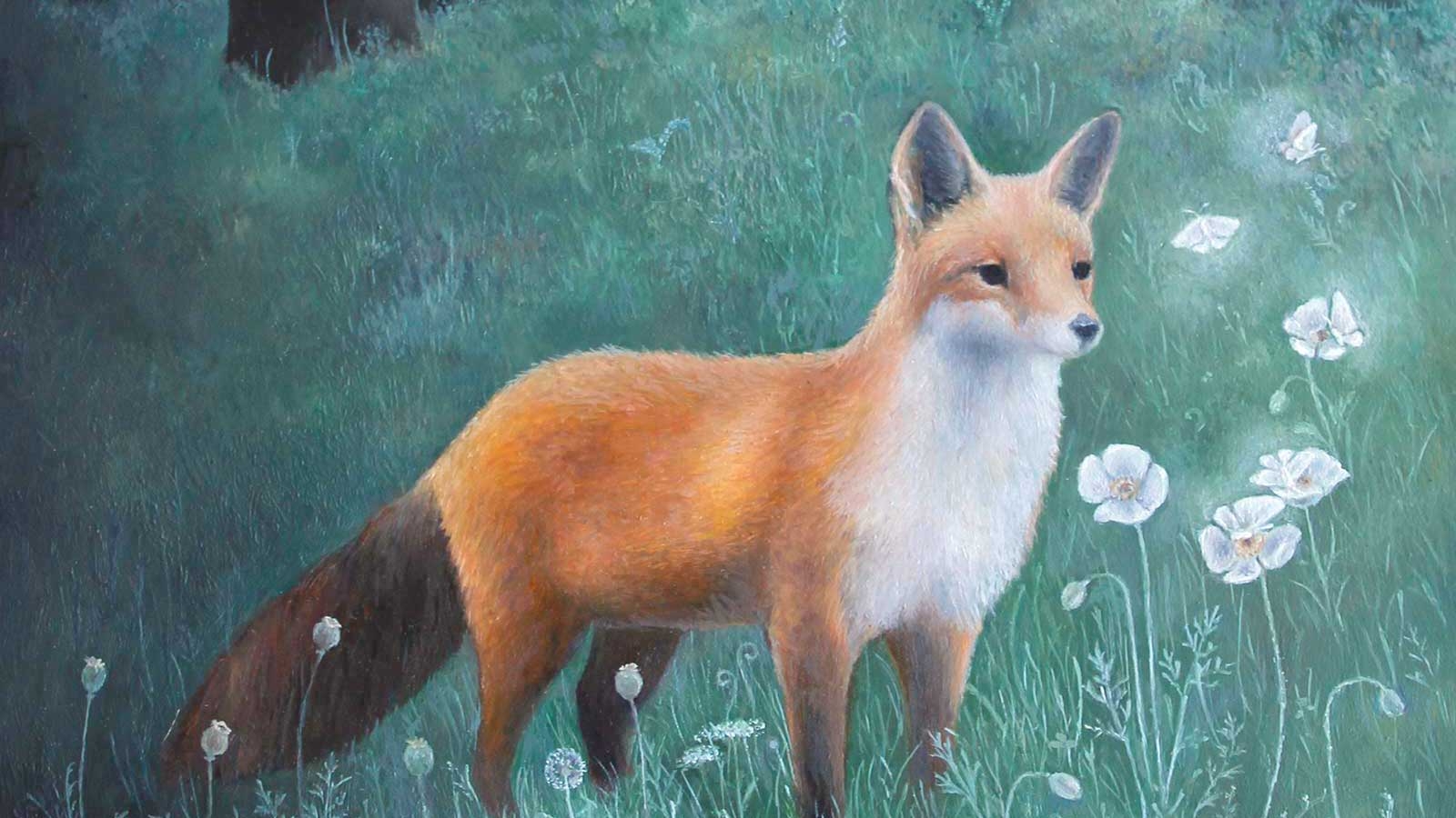 Visual Feast (Issue 160)