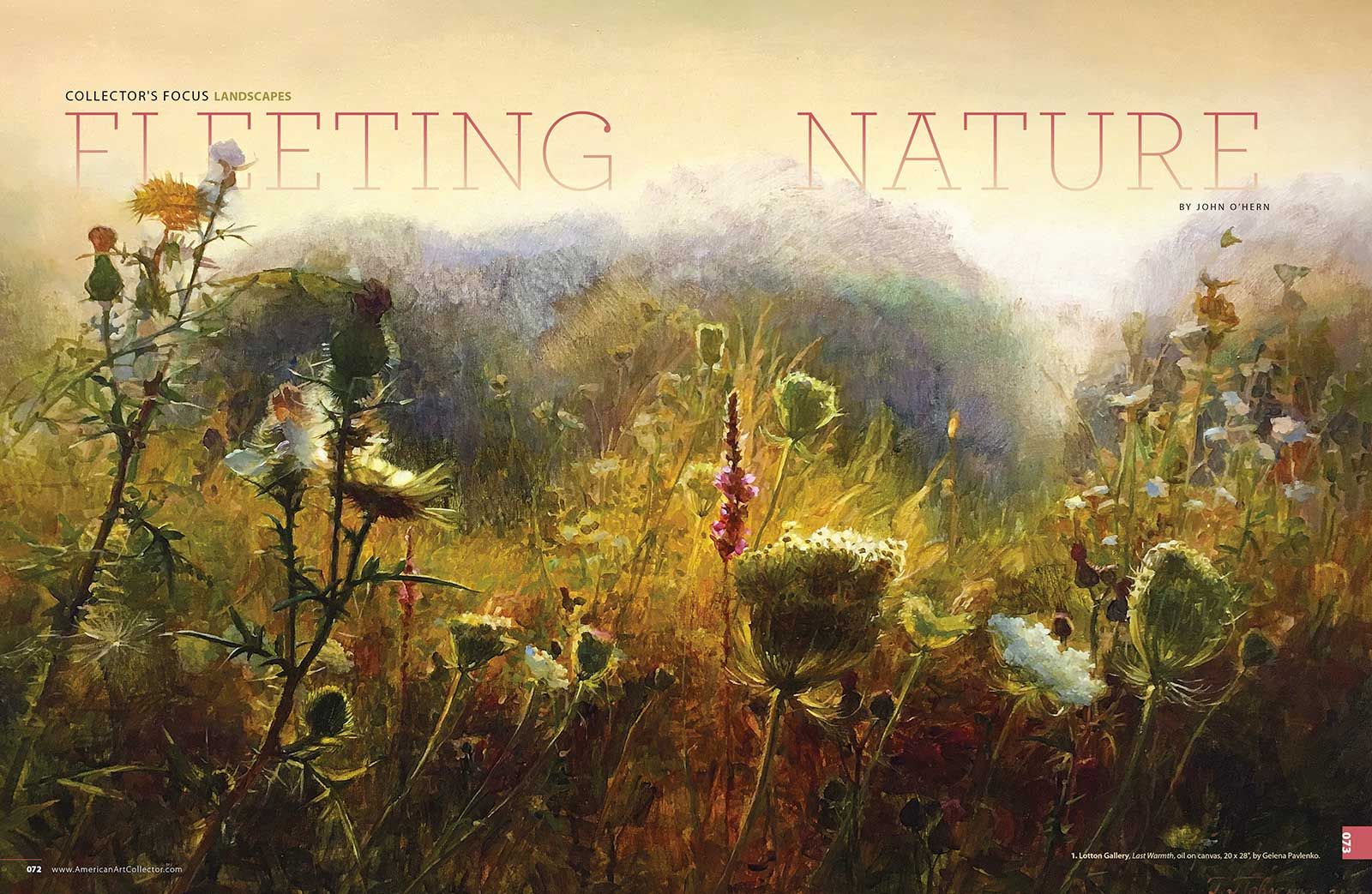 Fleeting Nature (Issue 167)
