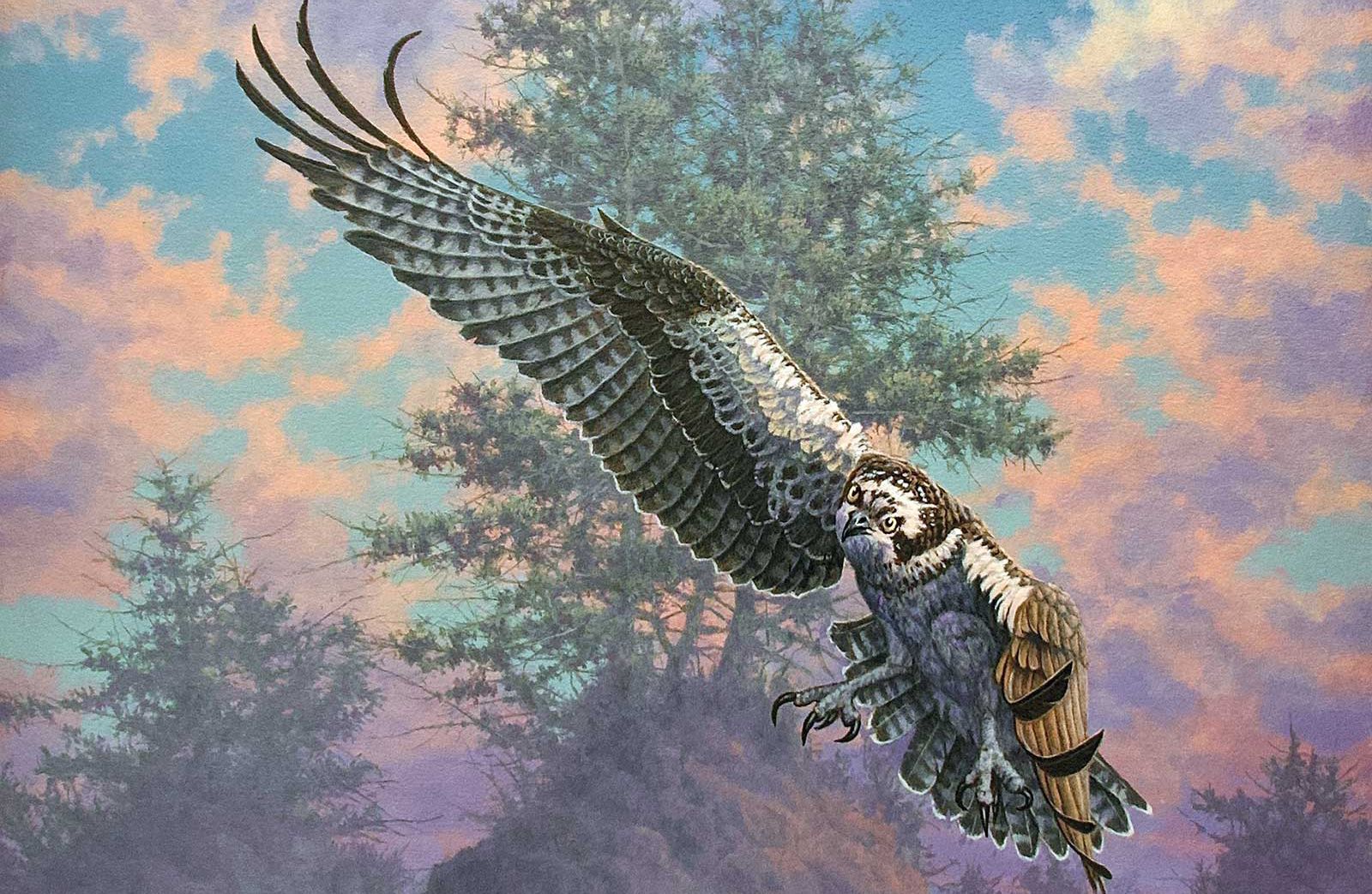 Real Life (Issue 217)