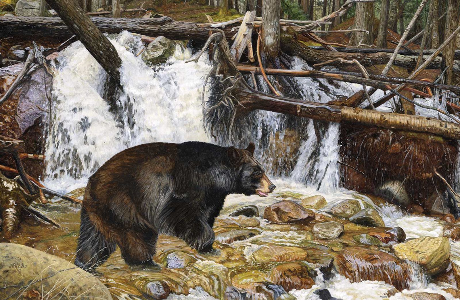 Artist Focus: David Kiehm (Issue 219)