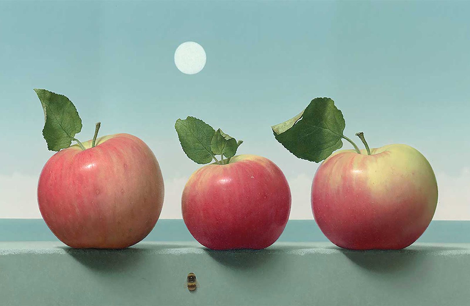 Simple Pleasures (Issue 221)