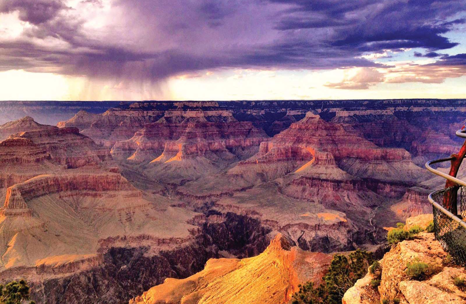 The Art Lover’s Guide to Collecting Fine Art in Arizona (Issue 231)