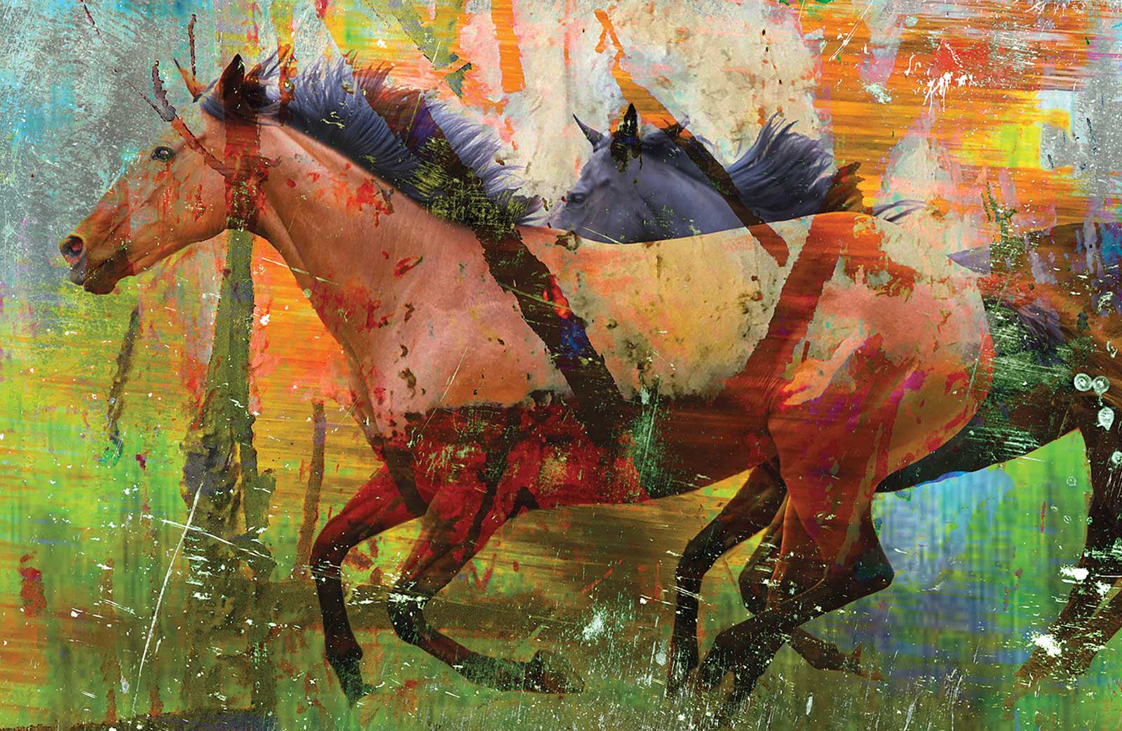 A Dynamic Hub (Issue 237)