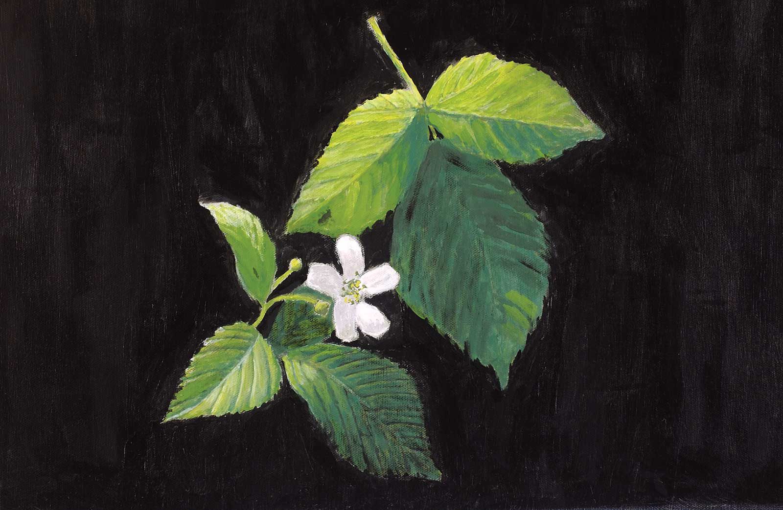 Artist Focus: Peter Swift (Issue 245)